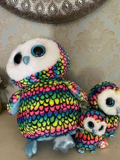 Beanie Boo Owl Family For Sale in Enfield, Meath from Lucy12