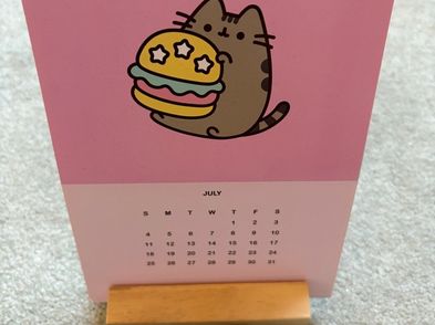Pusheen Stand Up Calendar For Sale in Glenageary, Dublin from Shnoo