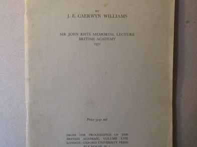 The Court Poet In Medieval Ireland For Sale in Ballyfermot, Dublin from ...