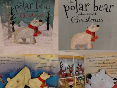 The Polar Bear Who Saved Christmas Story Book By Fiona Boon For Sale in ...