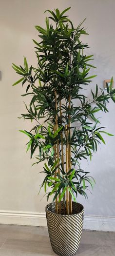 Ikea Fejka Artificial Bamboo Plant For Sale in Temple Bar, Dublin from ...