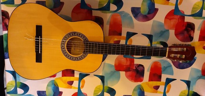Stagg Handmade Classical Guitar Kids Size With Soft Case For Sale in ...