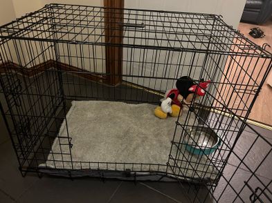 Dog Crate For Sale in Dublin 12, Dublin from Gdc123
