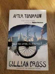 After Tomorrow By Gillian Cross For Sale in Terenure, Dublin from gaasen