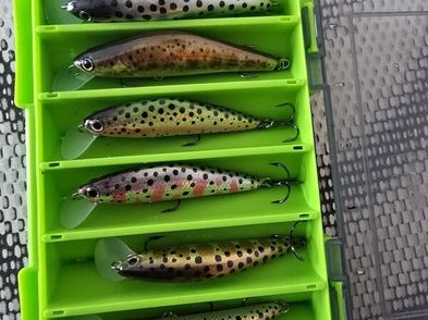 Trout Pike Lure For Sale in Blanchardstown, Dublin from dariune