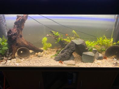 Jewel Fish Tank For Sale in Blanchardstown, Dublin from nickm2023