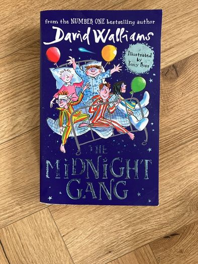 David Walliams The Midnight Gang For Sale in Ballinlough, Cork from DeeHar