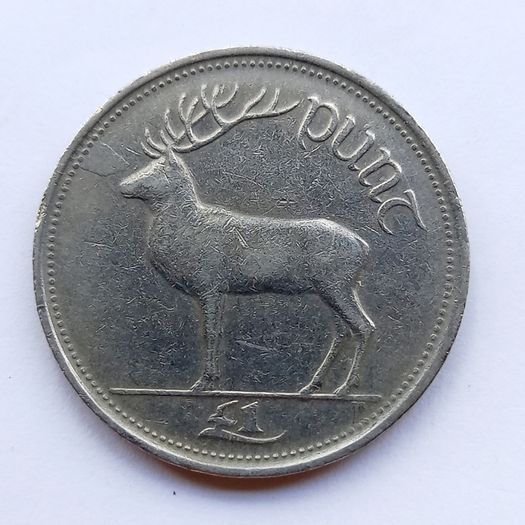 Irish Coin Ireland 1990 1 Pound Punt For Sale in Shrule, Mayo from ...