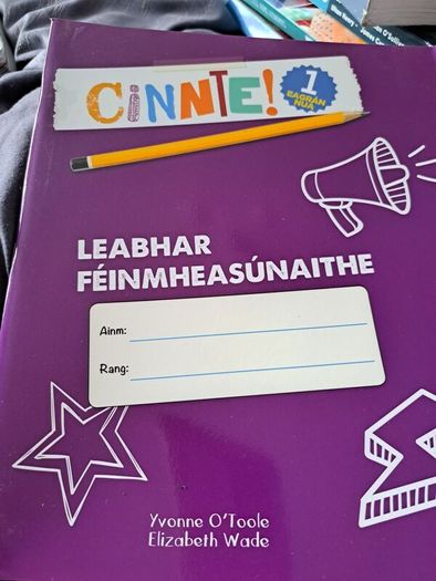Cinnte 1 Textbook And Workbook For Junior Cert For Sale in Santry ...