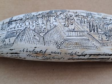 Scrimshaw Whale Carving For Sale in Rathfarnham, Dublin from yozzer
