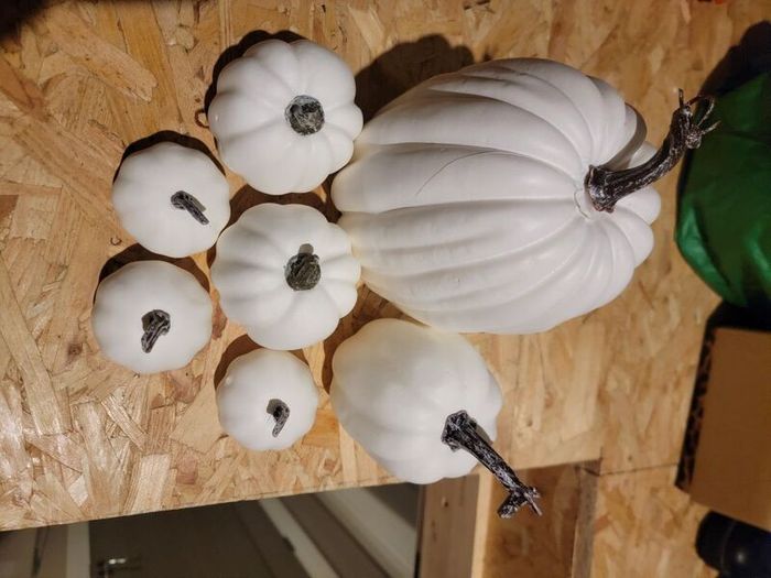 Pumpkin For Display New In Box For Sale in Maynooth, Kildare from Jads3