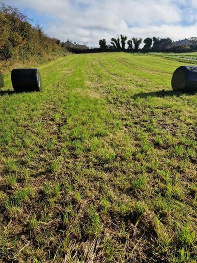 Organic Silage Bales For Sale in Ballinasloe, Galway from donedealuser ...