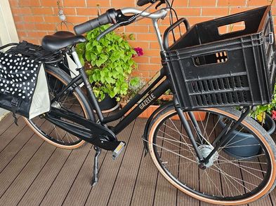 Gazelle Heavy Duty Bike With Accessories For Sale in Clongriffin ...