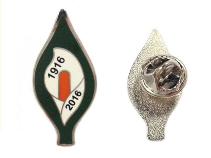 Irish Ireland 1916 2016 Easter Rising Centenary Republican Lily Badge ...