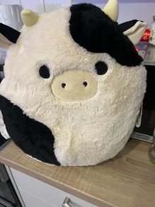 Teddy Bear Giant Squish Mallow For Sale in Bray, Wicklow from babymia6991