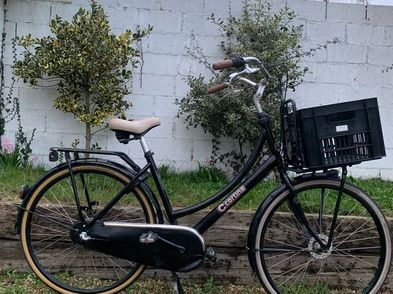 Cortina Ladies Dutch Bike For Sale in Newtownmountkennedy, Wicklow from ...