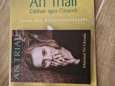 An Triail For Sale in Ballycullen, Dublin from Mairecmarshall
