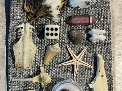 13 Piece Bone Throwing Casting Divination Set Osteomancy Alter Casting ...