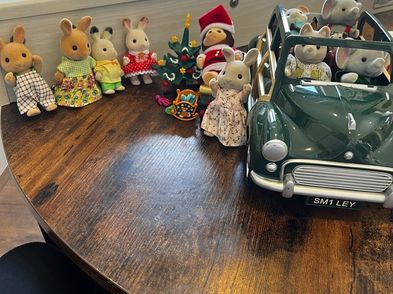 Sylvanian Family Bundle For Sale in Fairview, Dublin from quigley.sarah