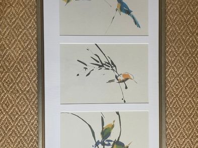Framed Bird Motif Print Triptych For Sale in Dublin 16, Dublin from Hebe2