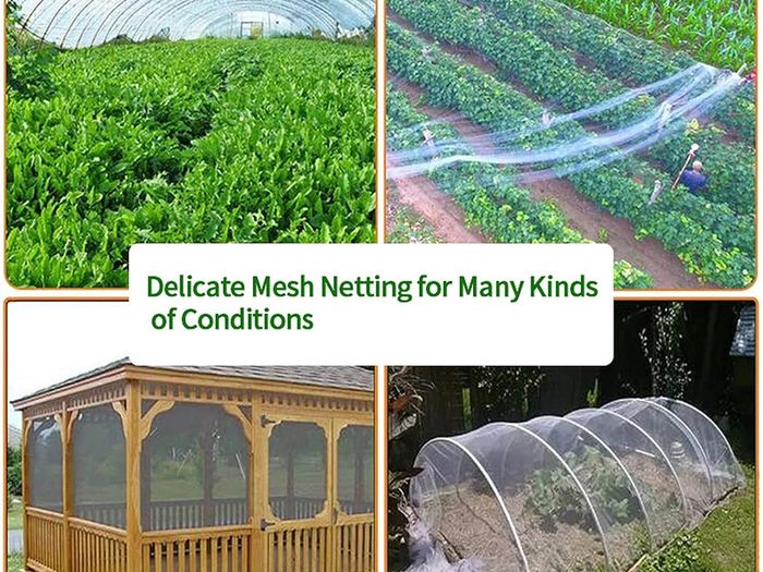 Insect Netting Mesh Garden Netting Fine Mesh Butterfly Garden Netting ...