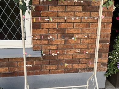 Crisp Wall Wedding Party, Wedding Rentals Service Available in ...