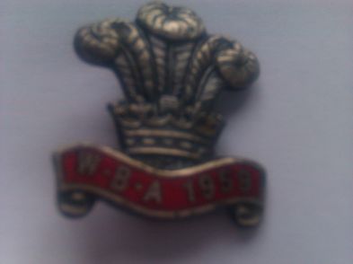 Wba 1959 Lawn Bowls Badge For Sale in Blackrock, Dublin from MetalBox