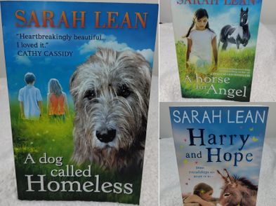 Sarah Lean Story Books For Sale in Mayo, Mayo from tuckers