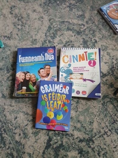 Fuinneamh Nua Cinnte And Graimear Is Feidir Leat For Sale in Terenure ...