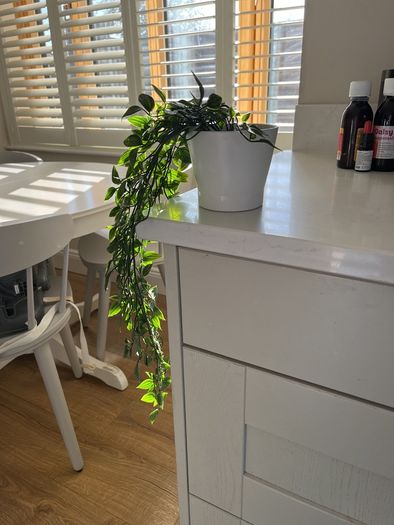 Ikea Fake Plant Pot For Sale in Malahide, Dublin from Rebecca Blair