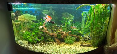 Stunning 390 Litre Fish Tank For Sale in Swords, Dublin from Fabiandobro
