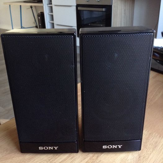 Sony Ss Fs1 For Sale in Mulhuddart, Dublin from uzbek1978