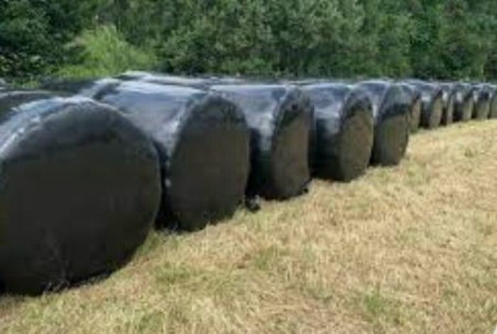 Round Bales Silage For Sale in Roscommon Town, Roscommon from ...