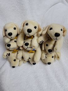 Andrex Puppy Soft Toys 5 Euro Each Teddy Bears Plush For Sale in Cork ...