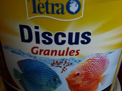 Tropical Dry Food Fish for adoption in Phibsborough, Dublin from Marine001