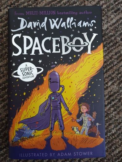 David Williams Spaceboy For Sale in New Ross, Wexford from ing17