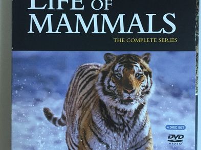 David Attenborough The Life Of Mammals Bbc Dvd Tv Boxset For Sale in ...