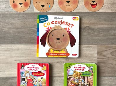 Polish Books For Kids Ksiazki O Emocjach For Sale in Tuam Road, Galway ...