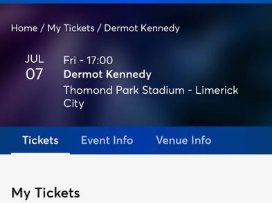 Dermot Kennedy Limerick Gold Circle For Sale in Knocklyon, Dublin from ...