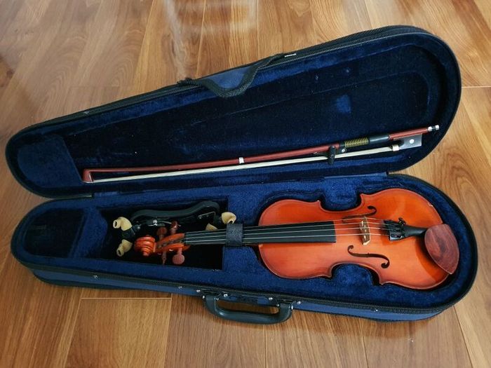 Primavera 90 Violin 18 Size With Case Chin Rest Bow And Wolf Forte ...