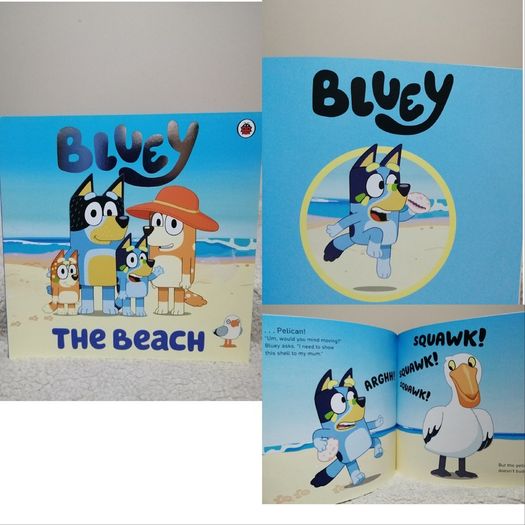 Bluey The Beach Storybook For Sale in Mayo, Mayo from tuckers