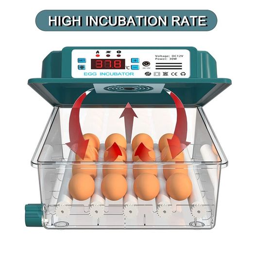 Fully Automatic Chicken Incubator Fully Automatic Chicken Incubator ...