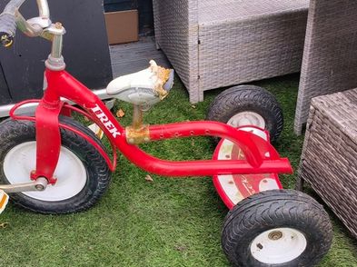 Trek Trikester Trike For Sale in Ballyfermot, Dublin from Patrick1970