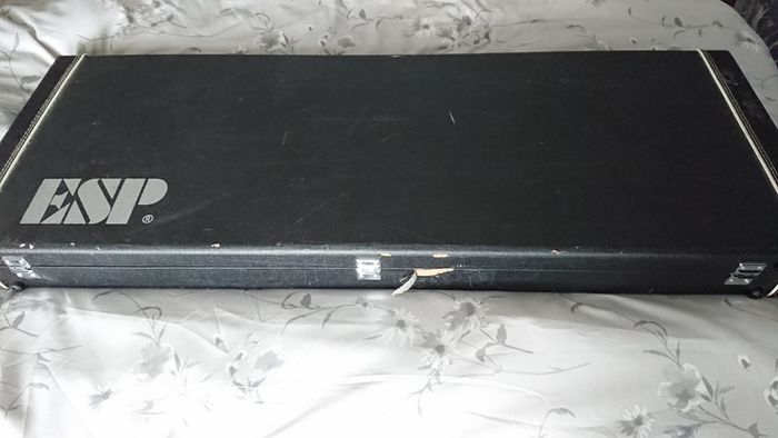 Esp Gl 56 George Lynch Signature Strat For Sale in Artane, Dublin from ...