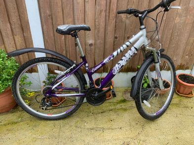 Ignite 26 Wheels 18 Speed 16 Inch Frame Comes With Mudguards Bike Is In ...