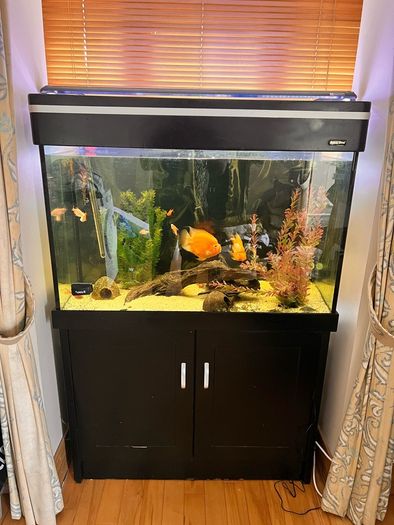 Aquaone Fish Tank 280 Litre For Sale in Santry, Dublin from tomeire