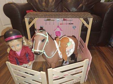Our Generation Stable Horse Doll For Sale in Gorey, Wexford from SusanPren