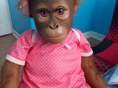 Reborn Realistic Ape Doll For Sale in Swords, Dublin from Amomurphy