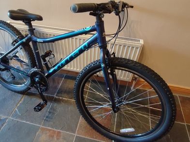 Carrera Axle Teenager Bike For Sale in Ballinaheglish, Roscommon from ...