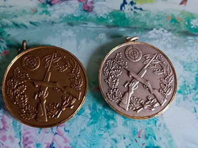 Vintage Trophy Medals For Sale in Longford Town, Longford from debs duke